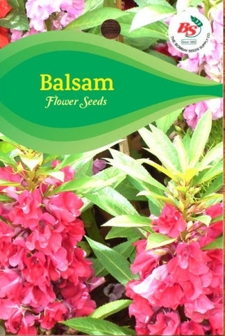 Buy Balsam Seeds Online – Bombay Seeds