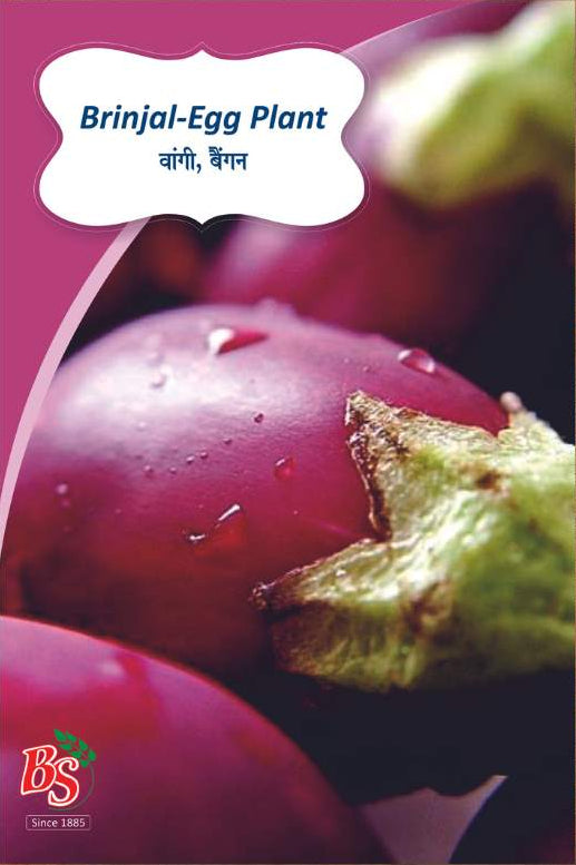 Vegetable Seeds – Bombay Seeds