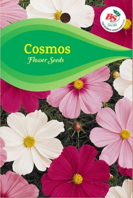 Buy Cosmos Mixed Seeds Online – Bombay Seeds