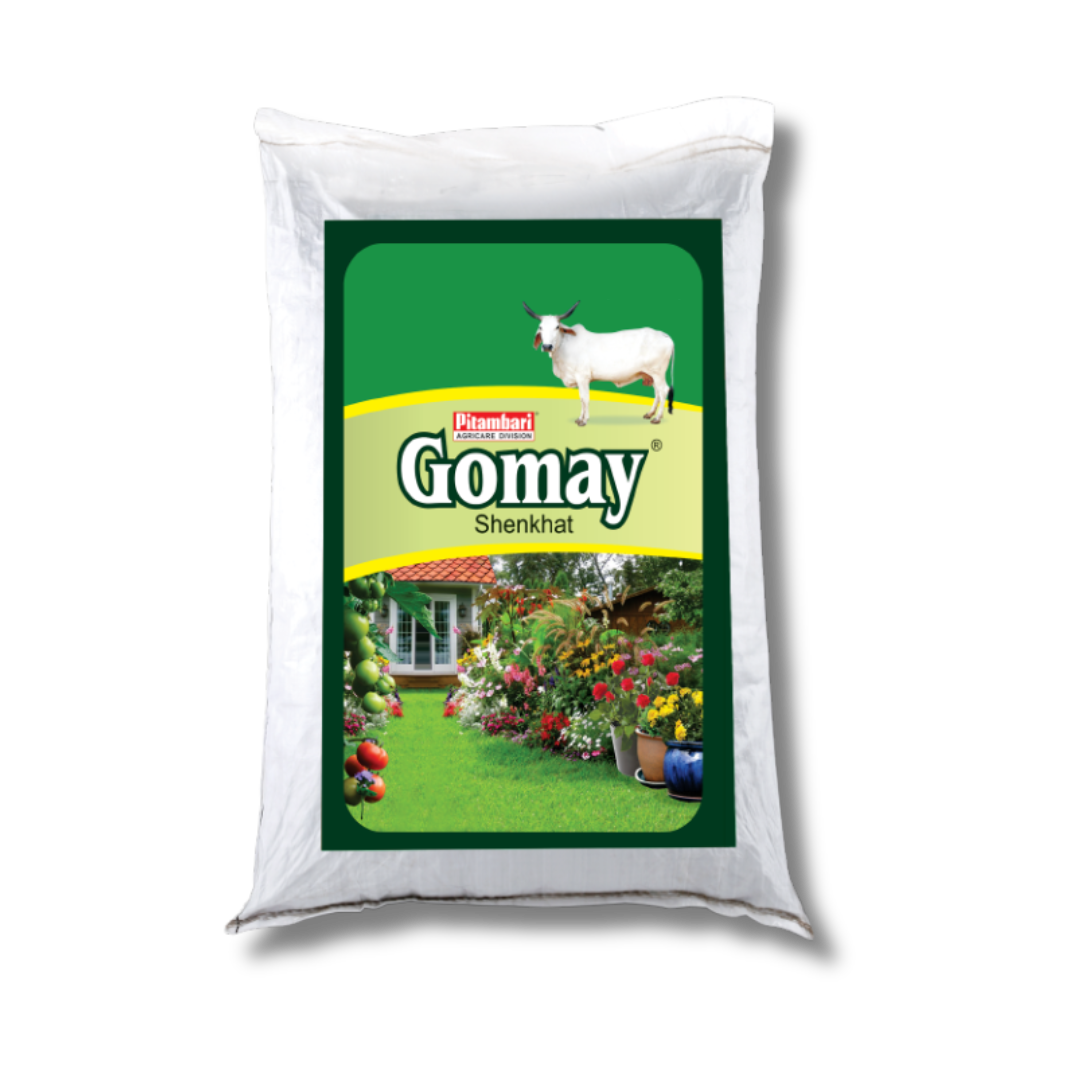 Buy Gomay Online – Bombay Seeds