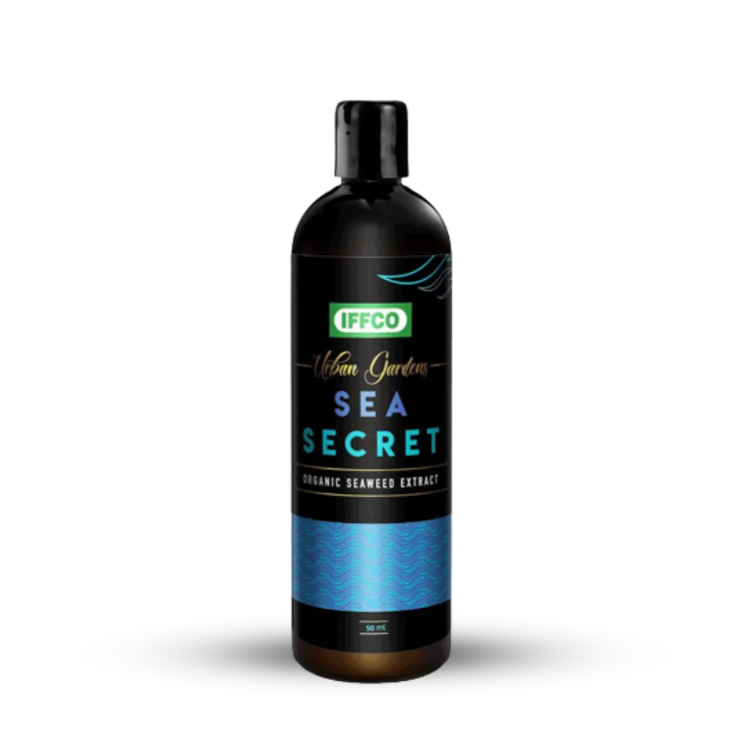 Buy Sea Secret (50 ml) Online – Bombay Seeds