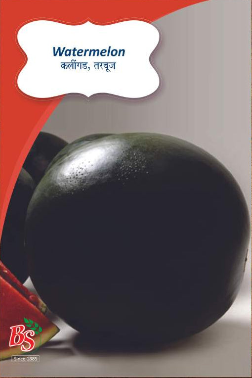 Buy Watermelon Black Seeds Online – Bombay Seeds