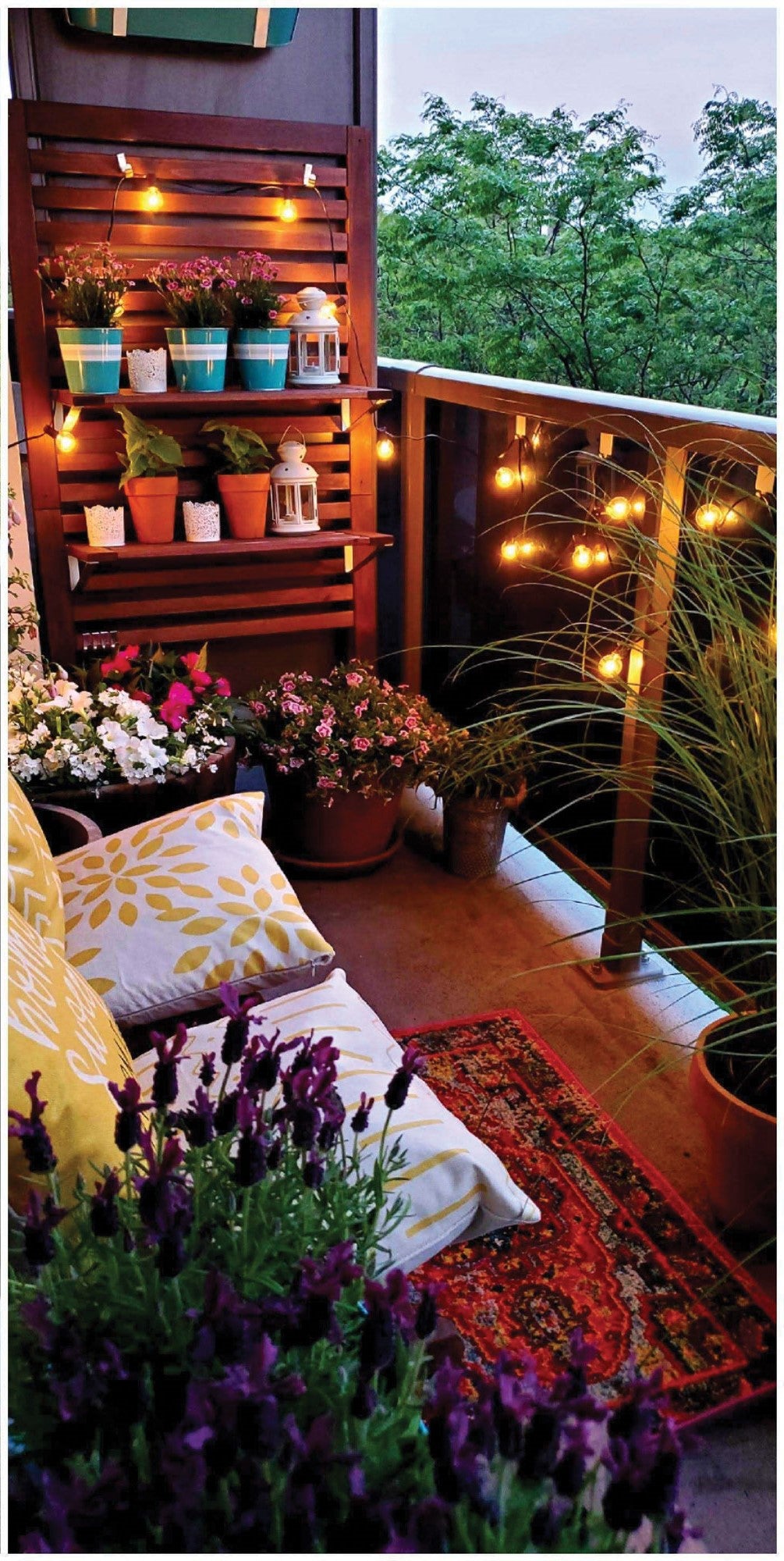 The Bombay Seeds Supply Co.