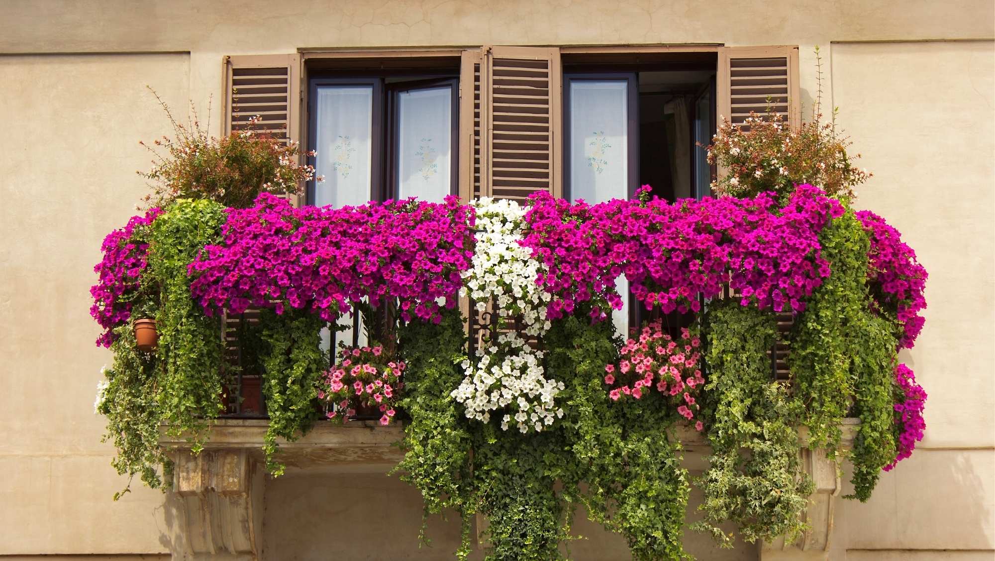 The Bombay Seeds Supply Co.